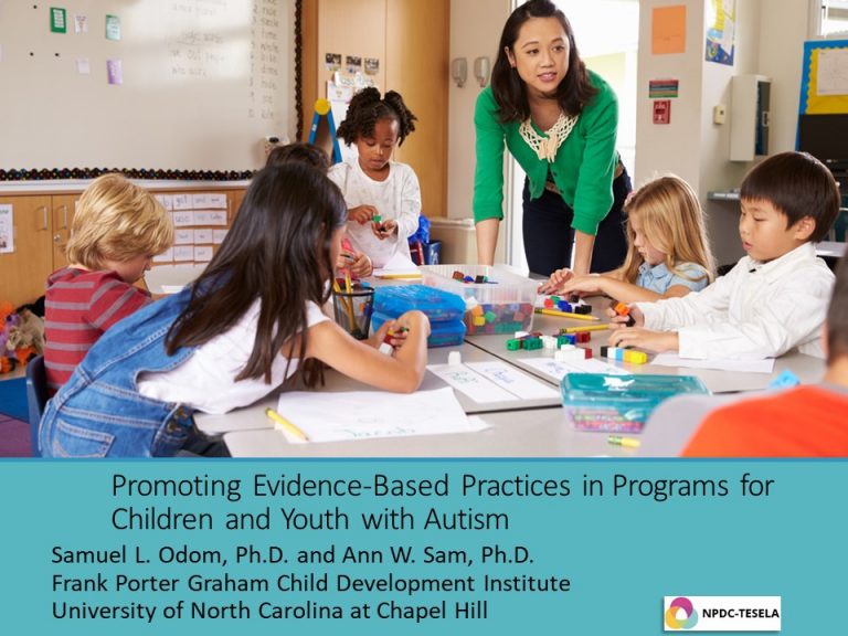 Promoting Evidence-Based Practices in Programs for Children and Youth ...